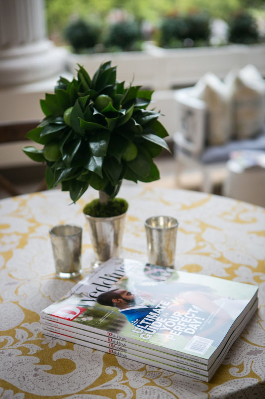 Our Italian Riviera-Themed "Grande Unveiling" at Union Station