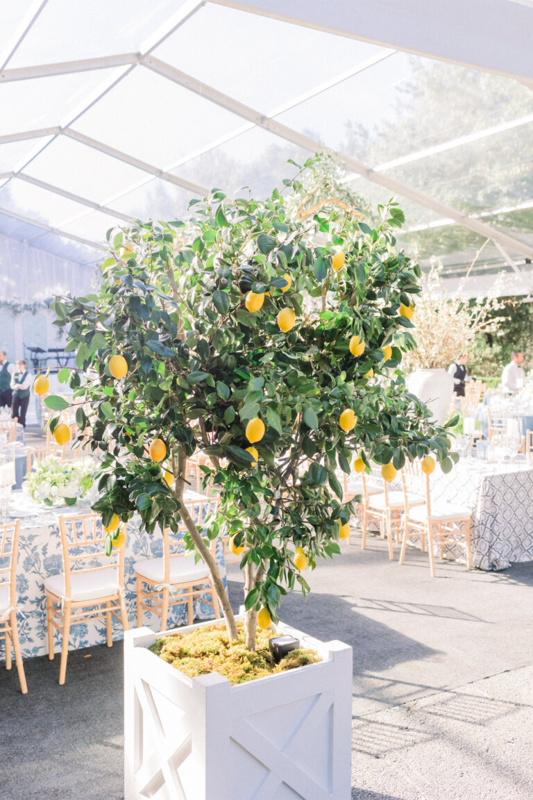 This Couple Brought Dallas Style to a Special San Antonio Venue